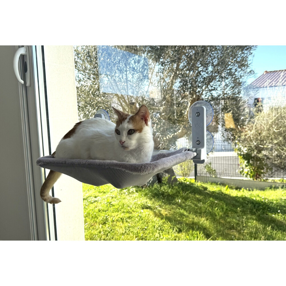 Hamac de fenêtre pour chat été hiver